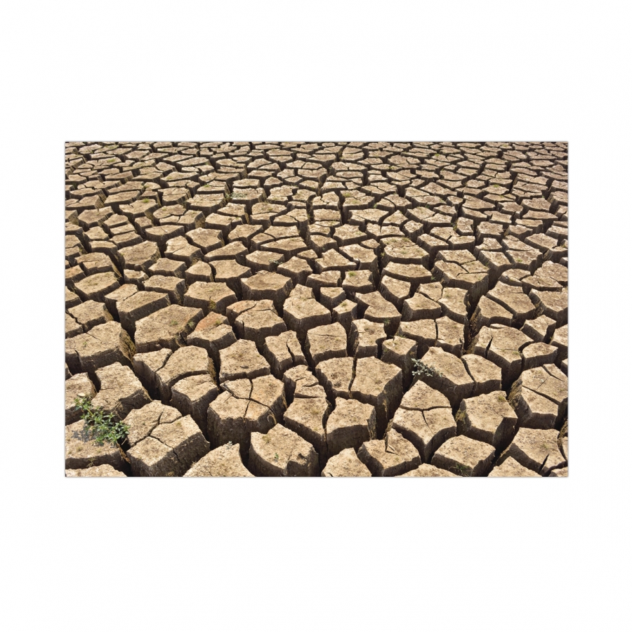 Sequia Biofilismo 24297